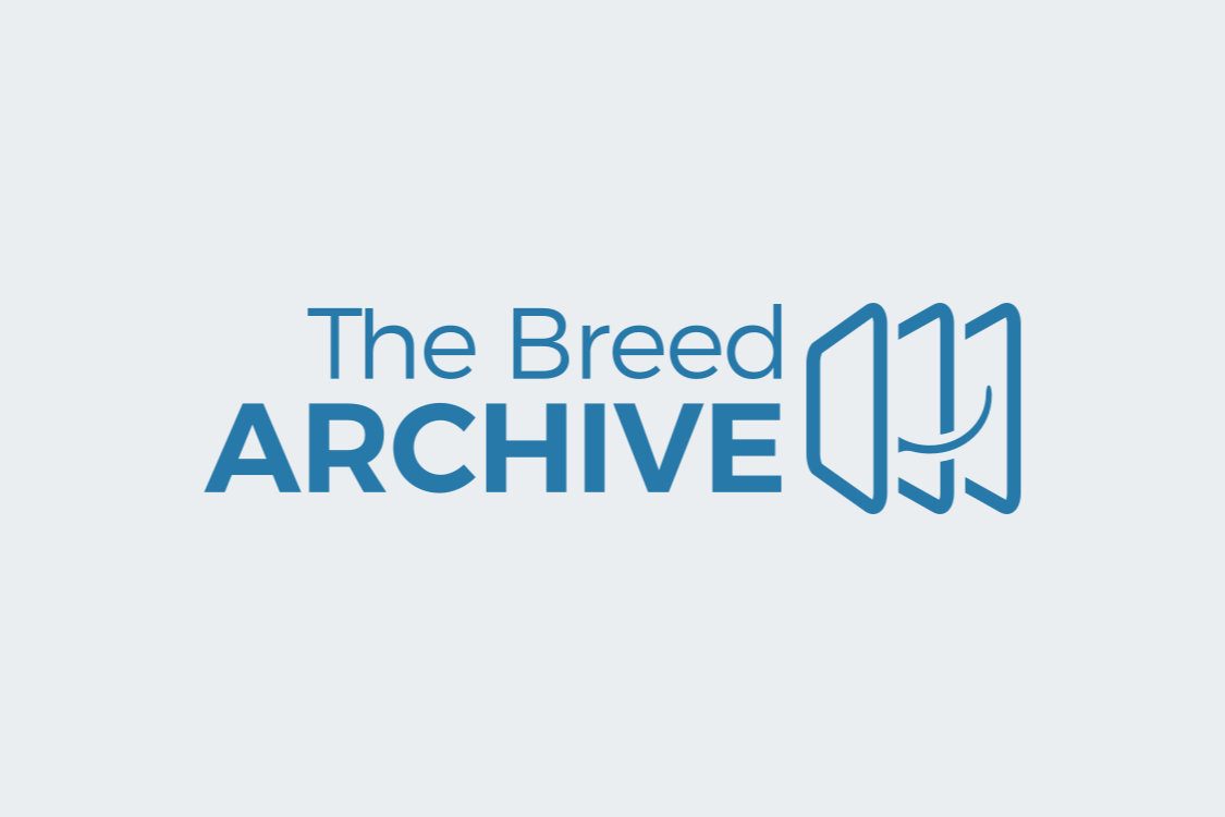 Sussex Spaniel - The Breed Archive